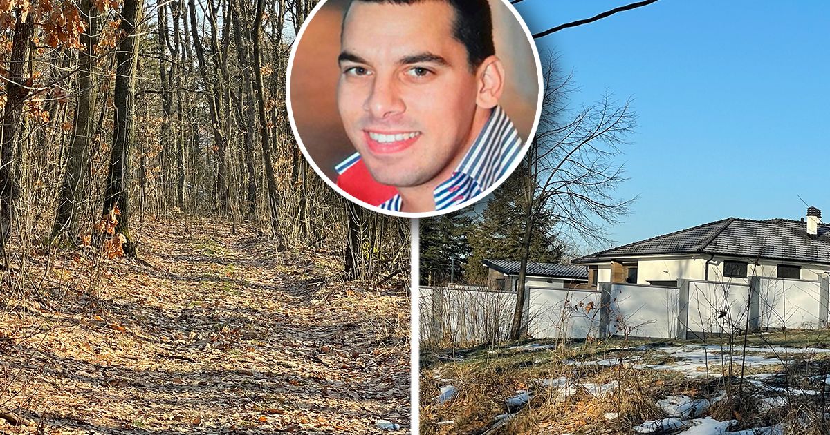 10 DANA POTRAGE ZA UBICOM: Žića izrešetan sa 9 hitaca, overen sa dva u ...