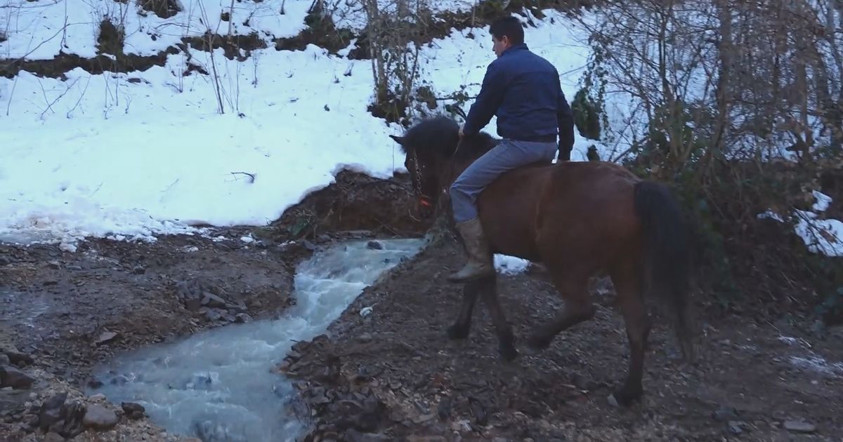 "Ta noć kad je sve počelo bila je kao horor film": Strašne slike iz ...