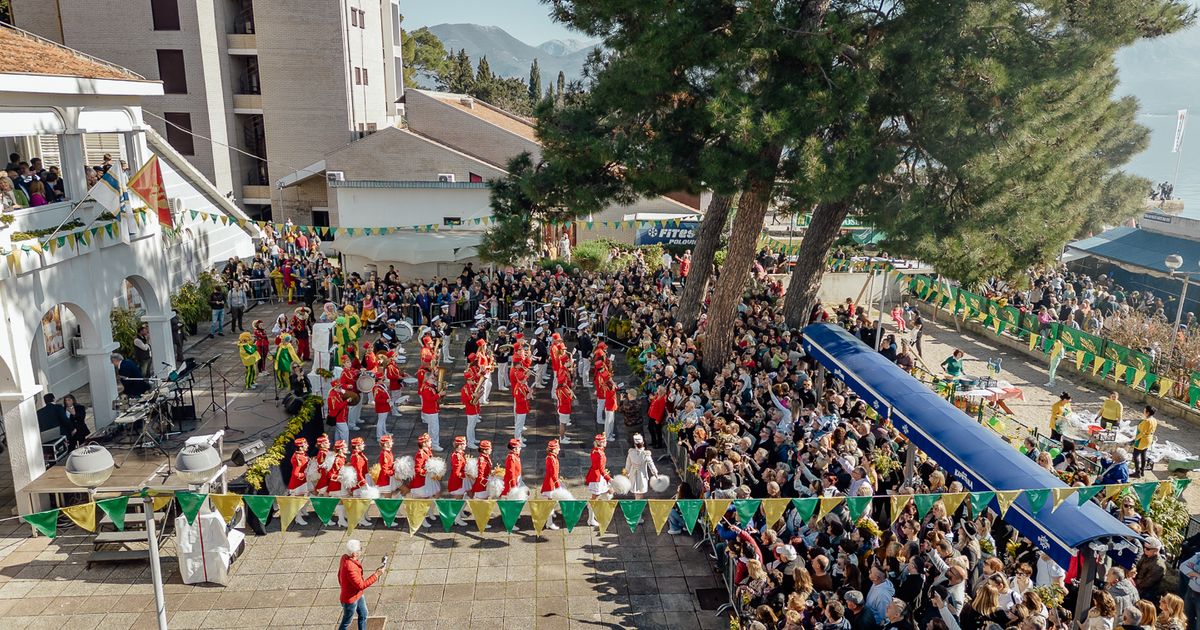 Herceg Novi poziva na 57. Praznik mimoze: Prvog vikenda velika fešta na ...