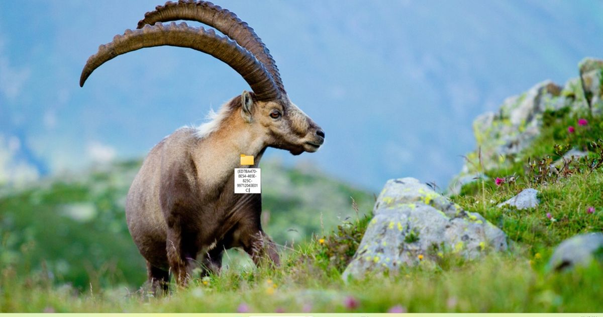 Windows ima skriveni "God Mode" folder koji skoro niko ne koristi, a ...