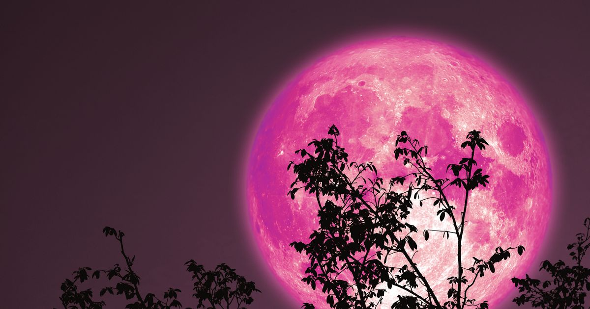 Cvetni Mesec stiže 1. maja i najjači je ove godine: Dva znaka su pred ...