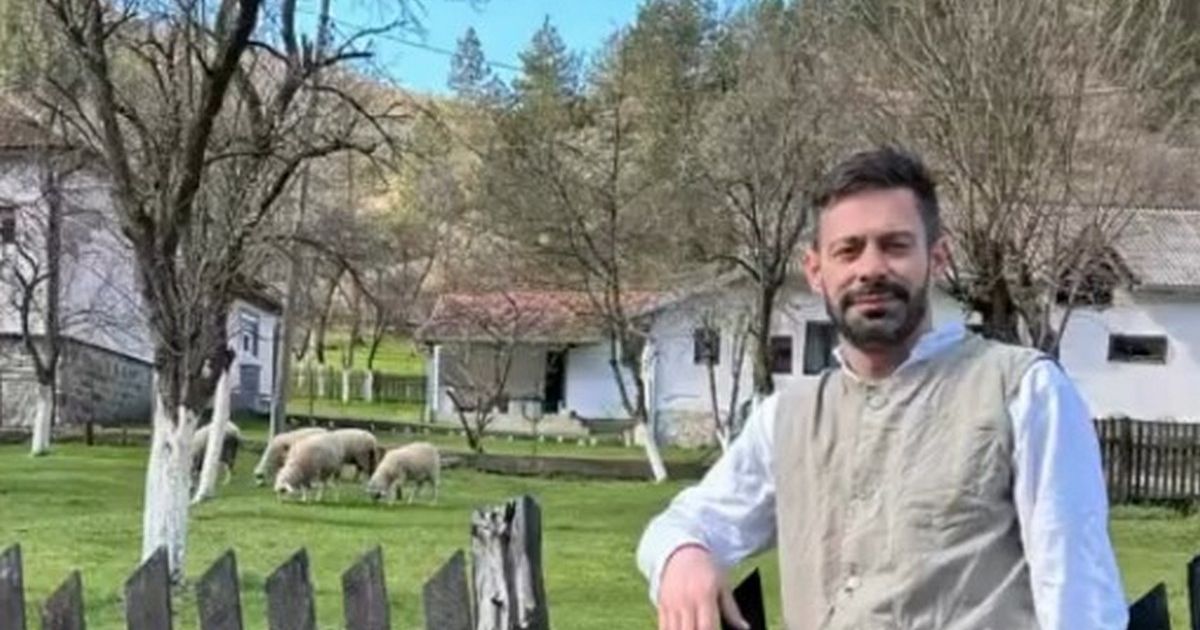Ovako izgleda sreća! Dok drugi biraju bazene, Despot uživa u lavoru ...