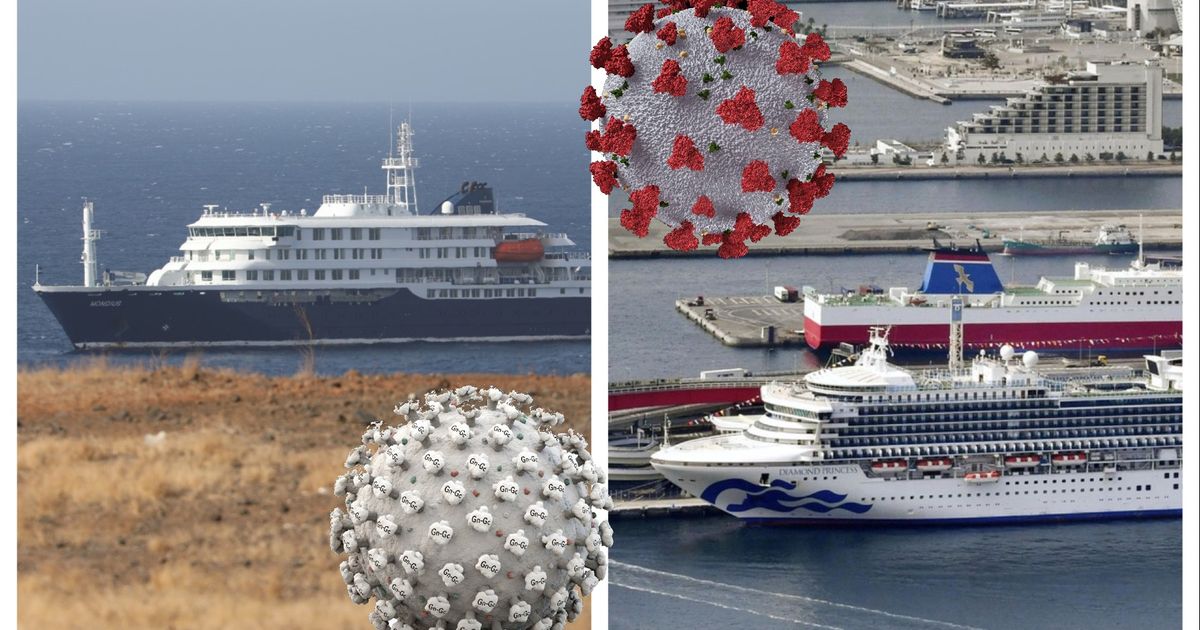 Korona i hantavirus: Sličnosti, razlike, a tu je jeziva podudarnost ...