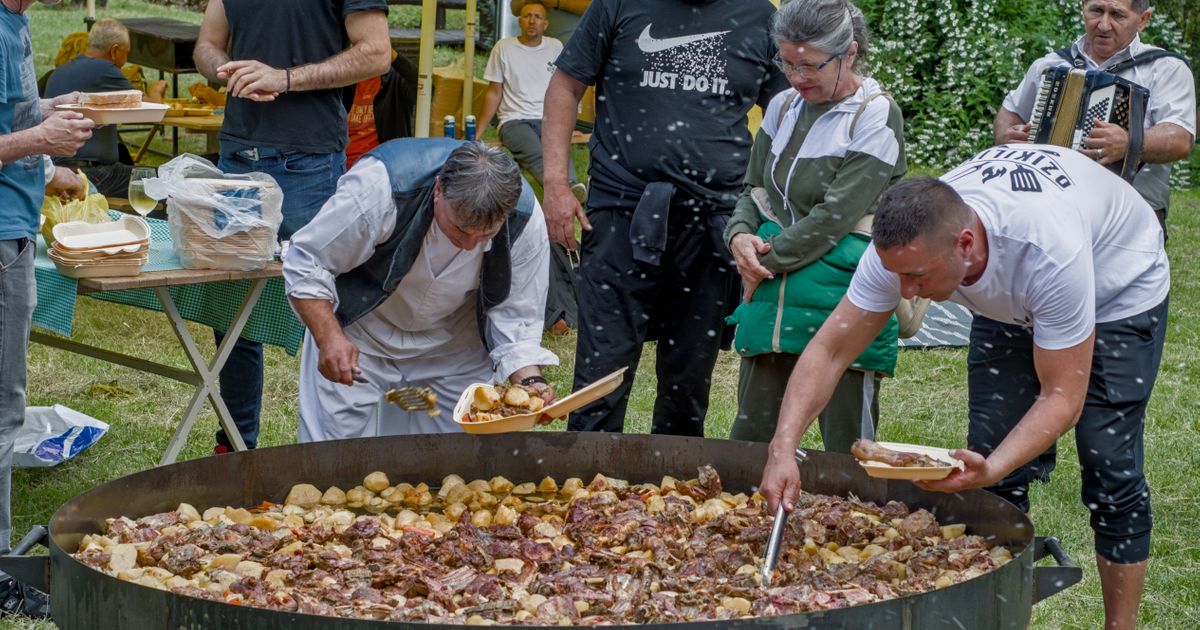 Najneverovatnija slika u Srbiji danas! Možete li da pogodite šta je ...