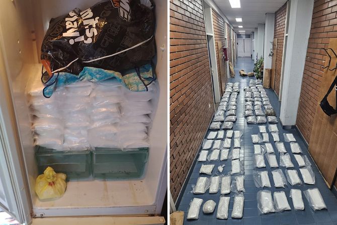 SAZNAJEMO! Veliki udar novosadske policije: Otkriven ilegalni narko ...